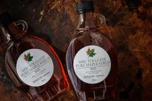 The Story of Maple - Tollgate Farm and Education Center