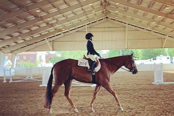 Defining horse jargon: Advanced riding terms - Horses