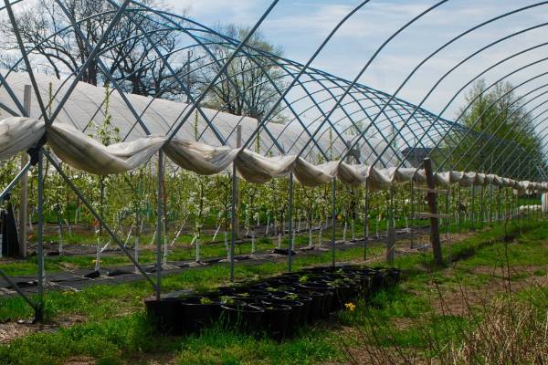 Fruit Production - Michigan Organic Farming Exchange