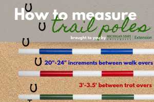 Setting a trail course for success - Horses