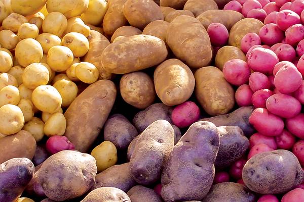 MSU researchers awarded $750K grant to develop sustainable management ...