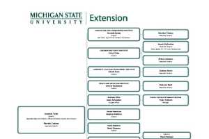 MSU Extension Organization Chart - MSU Extension