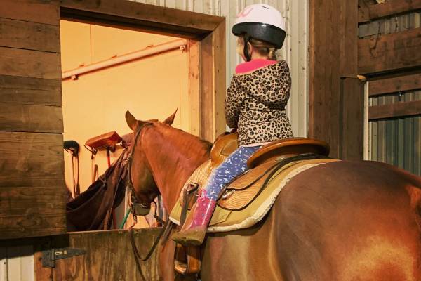 Defining horse jargon: Beginner riding terms - Horses