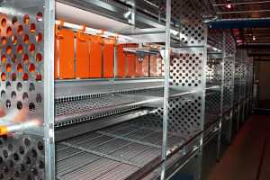 New Aviary System Installed at Poultry Center - Department of Animal ...