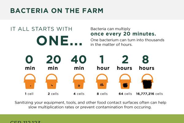 Bacteria Infographic - Agrifood Safety