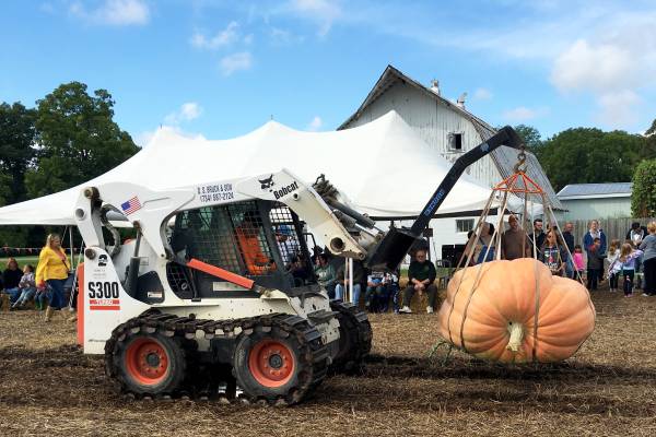 Growing giant pumpkins presents giant challenges and great delight ...