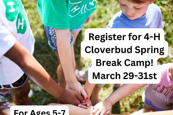 Livingston 4-H Cloverbud Spring Break Day Camp - Livingston County