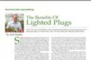 The benefits of lighted plugs - Floriculture & Greenhouse Crop Production