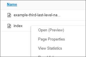 Pages Tab Context Menu Options in dotCMS - Web Team