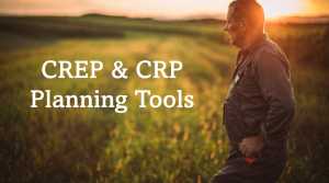 CREP & CRP Planning Tools - Conservation Reserve Enhancement Program