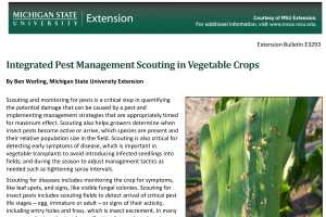 Integrated Pest Management Scouting in Vegetable Crops - Integrated ...
