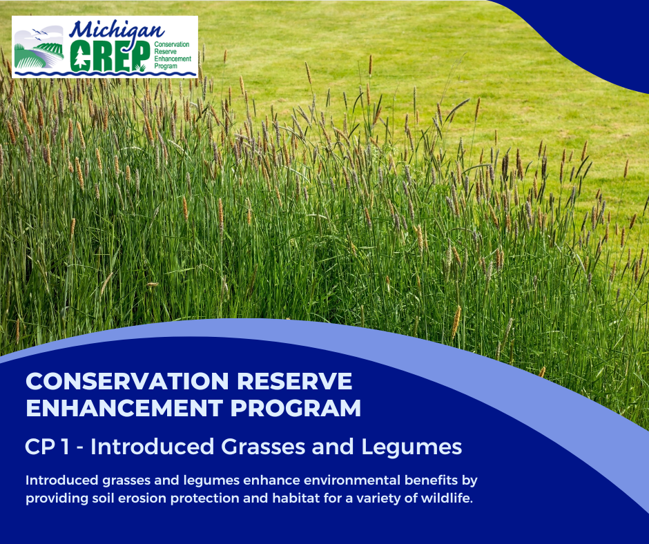 CREP Social Media Graphics - Conservation Reserve Enhancement Program