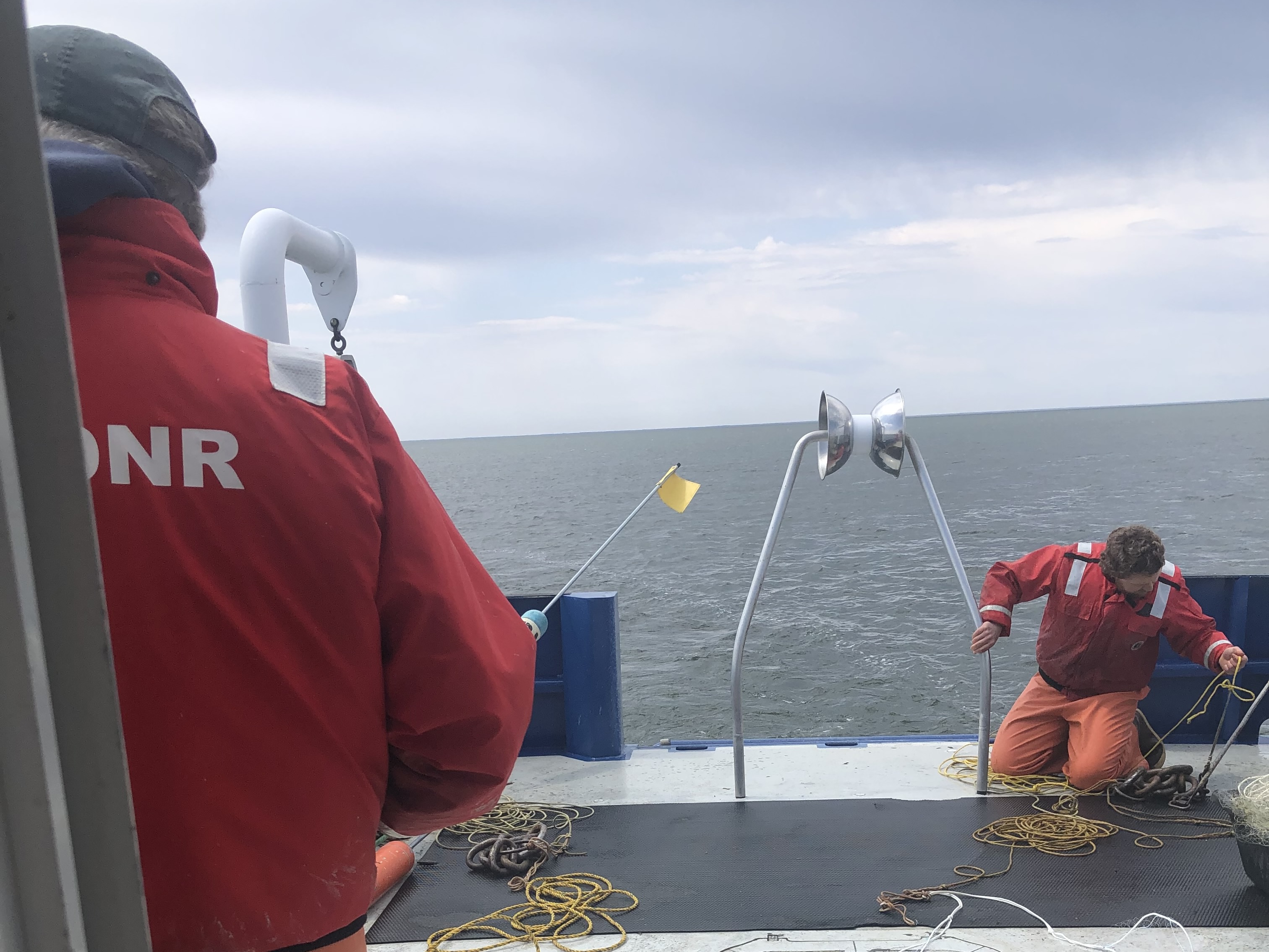 MSU researcher leads innovative effort to protect lake whitefish using ...