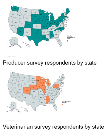 Insights into small swine producers: Survey results on health ...