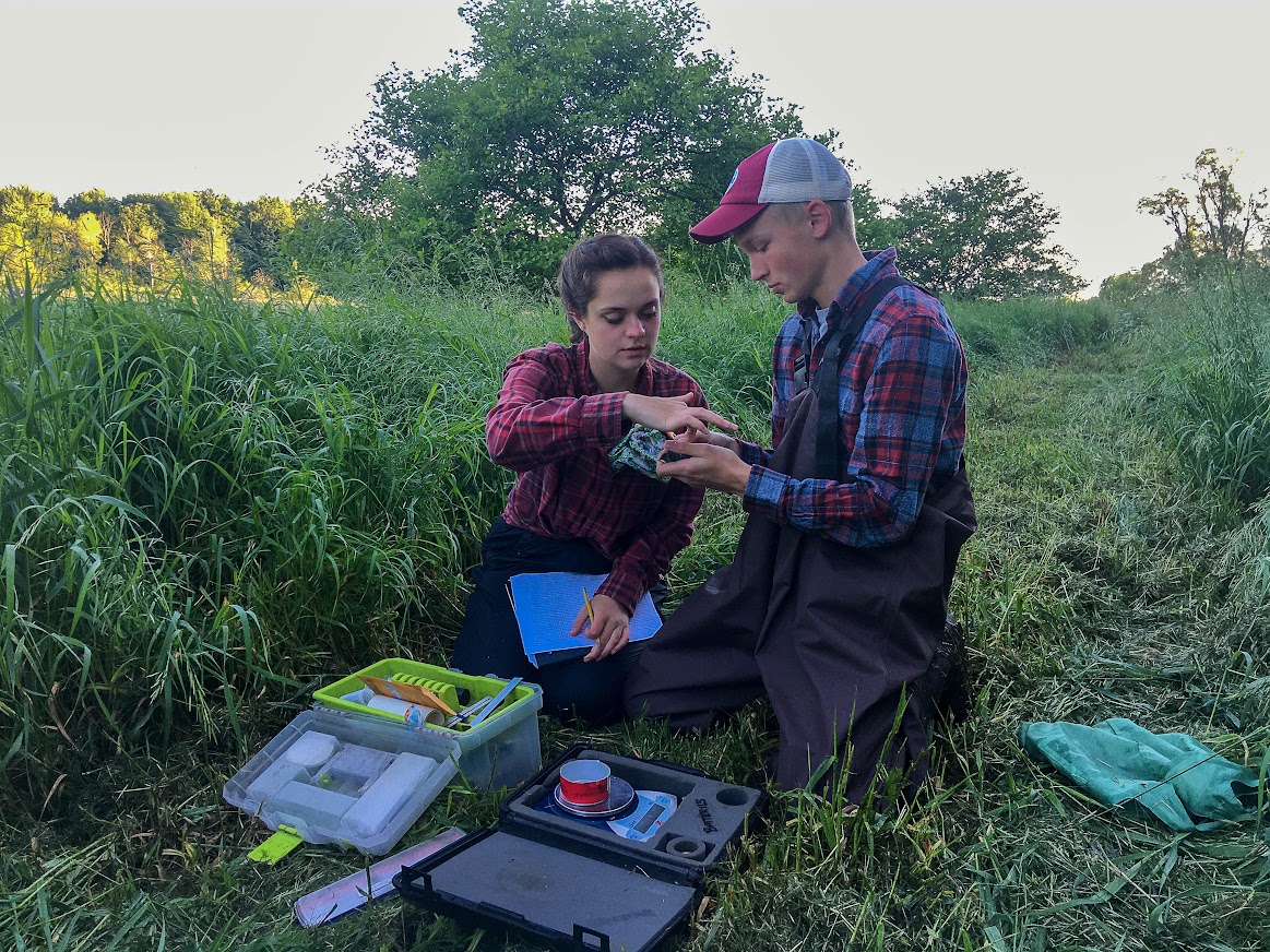 Current Research - Corey Marsh Ecological Research Center