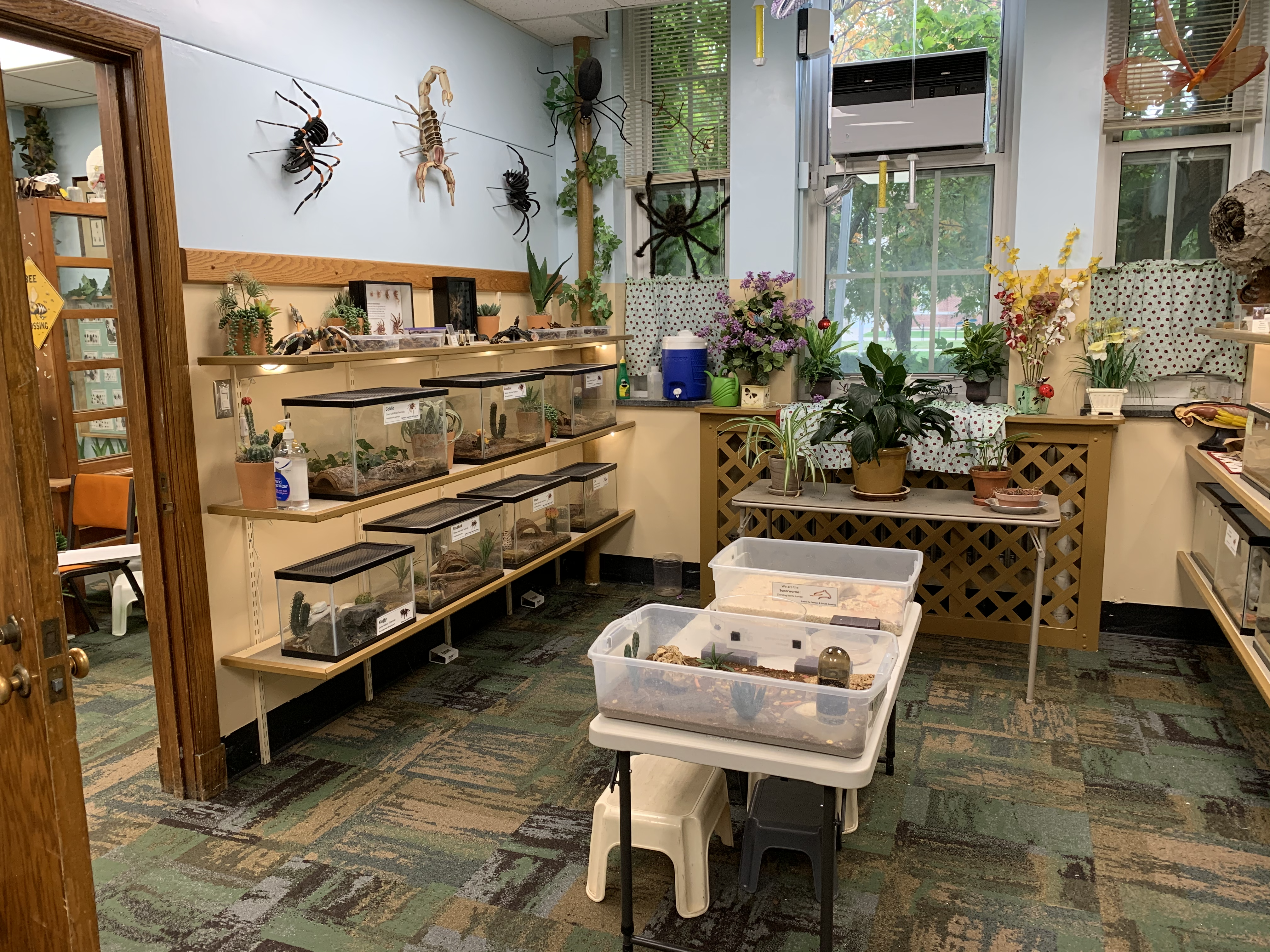 Programs - Bug House