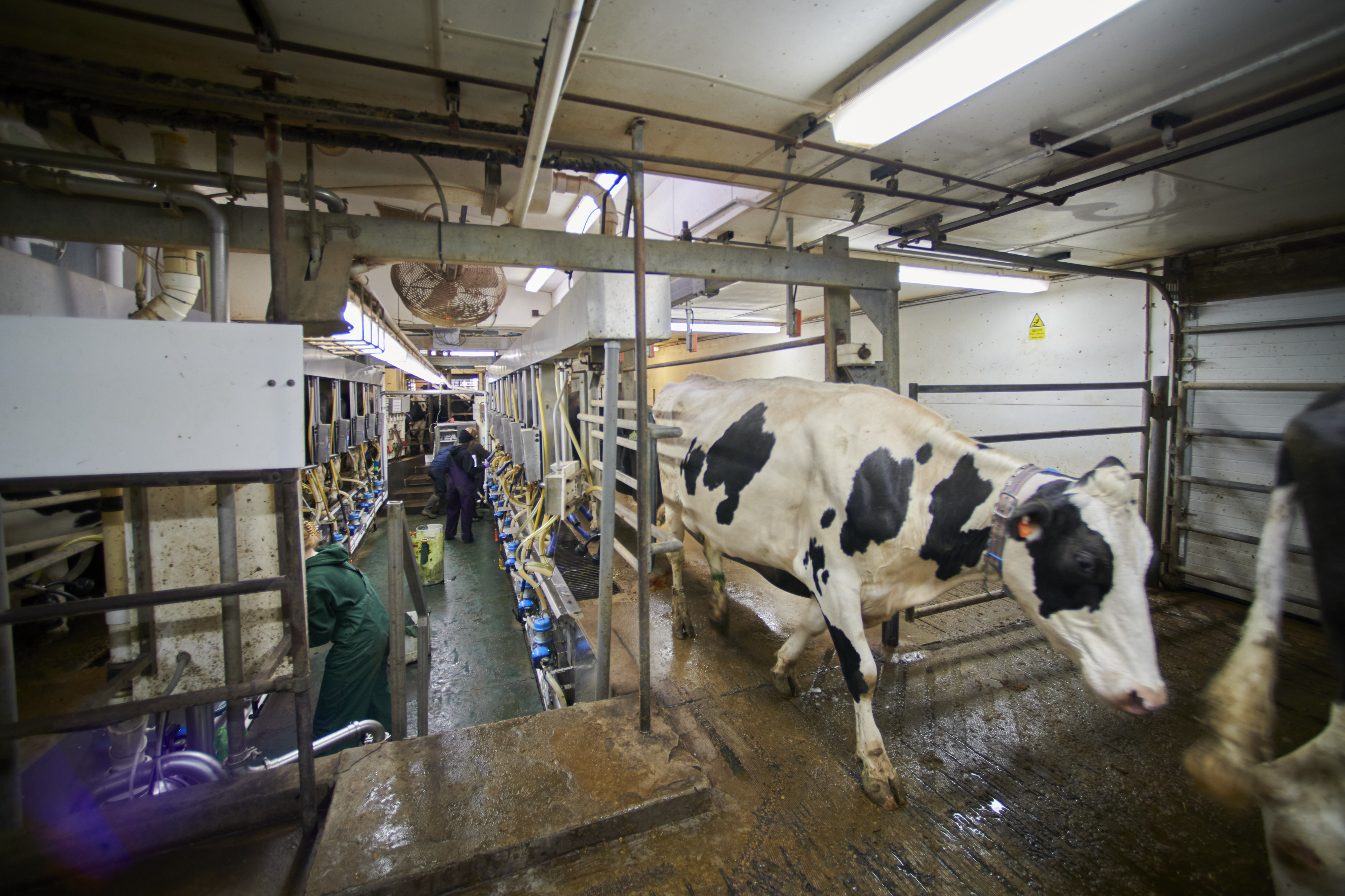 Moving forward: Transformational CANR building projects set to break ...