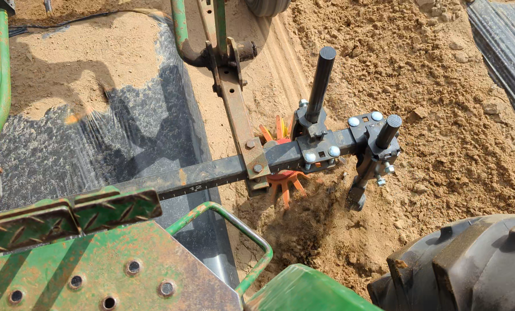Michigan vegetable crop report – May 21, 2025 - Vegetables