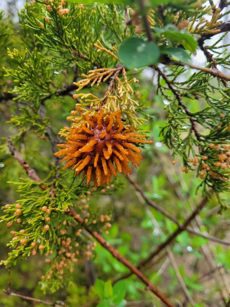 PSM Announces Photo Contest Winners! - Department of Plant, Soil and ...