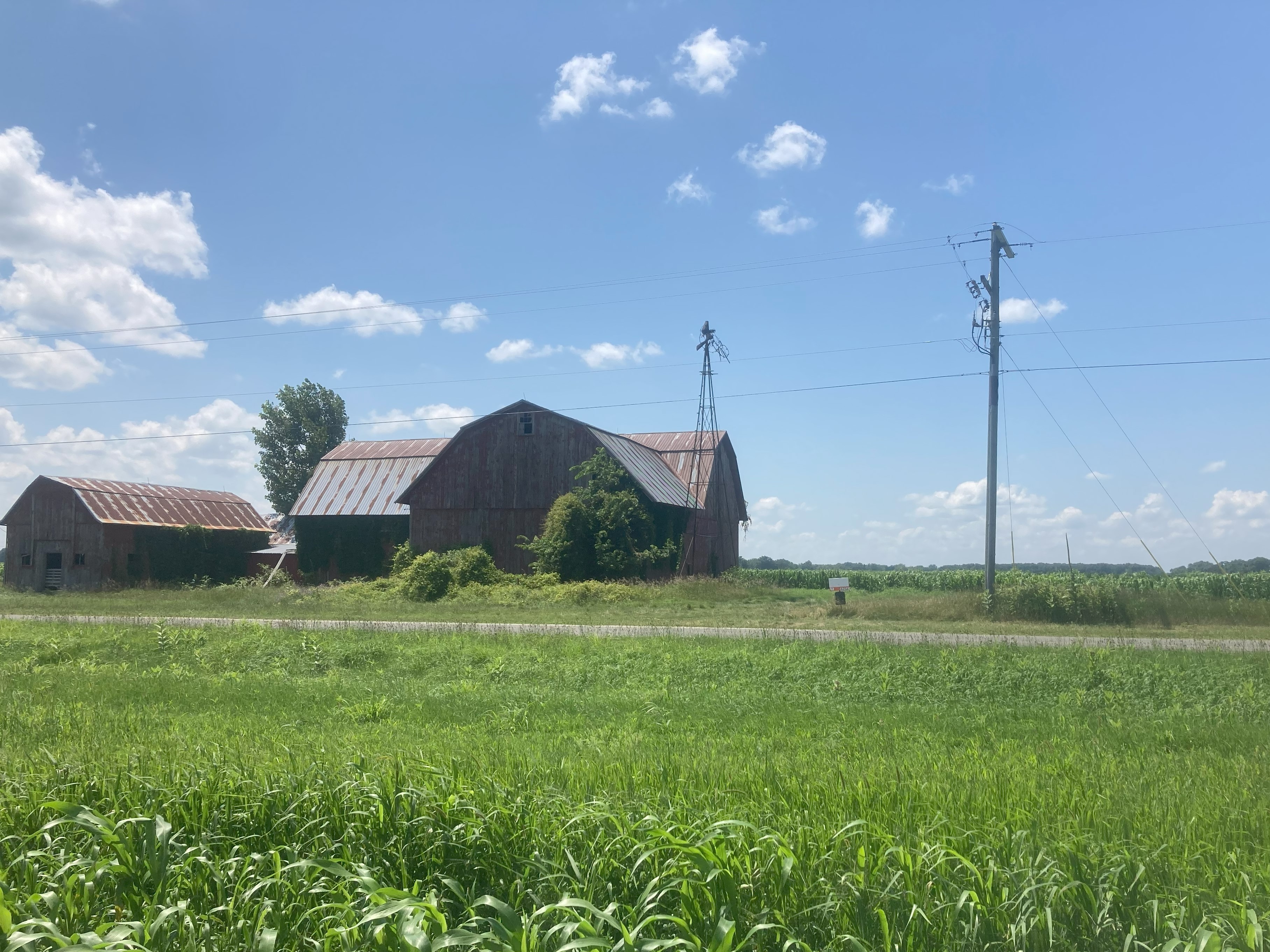 Innovative agronomy tools and resources: On-farm research - Field Crops