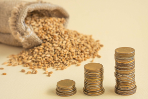 Wheat Marketing and Finance - Wheat Marketing and Finance
