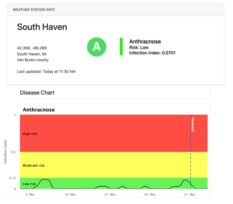 New blueberry anthracnose risk prediction model launched for Michigan ...