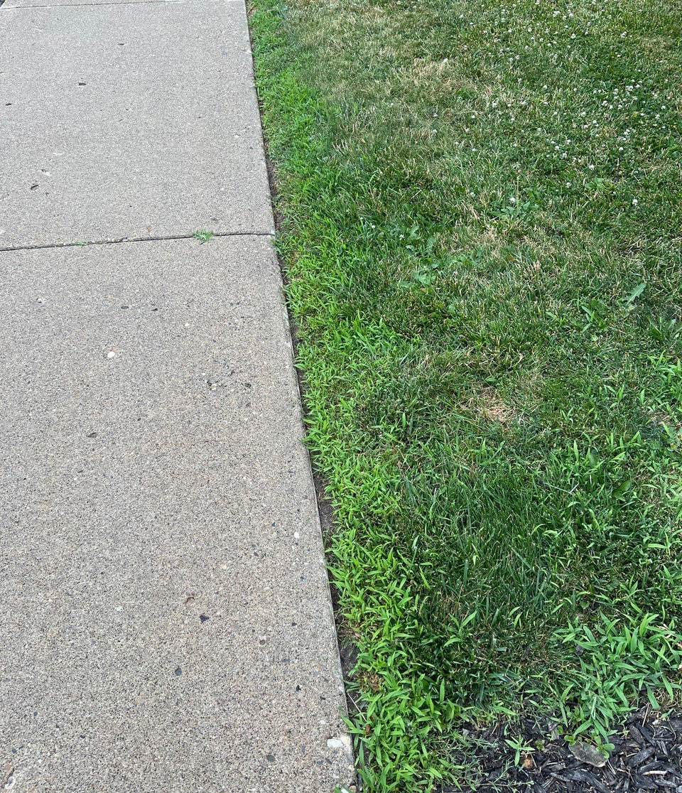 Tips for managing lawns during high temperatures - Turf