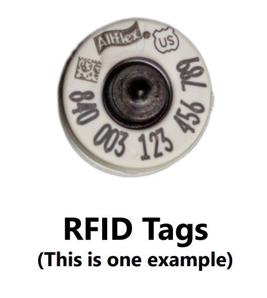 Obtaining official identification tags for swine in 2026 - 4-H Swine ...