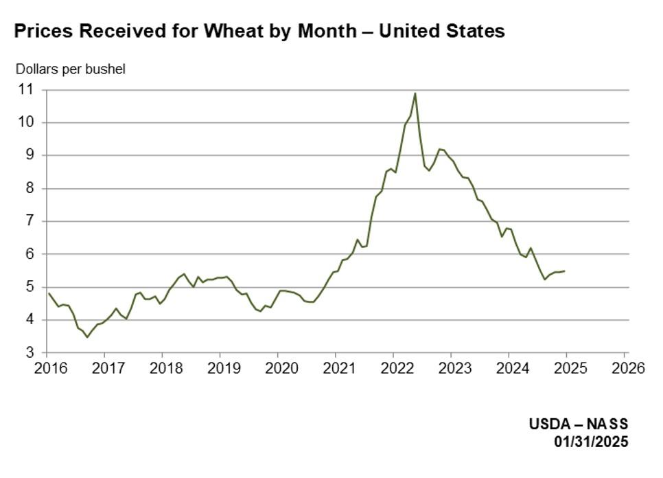 2025 Tariffs and considerations for grain markets - Field Crops