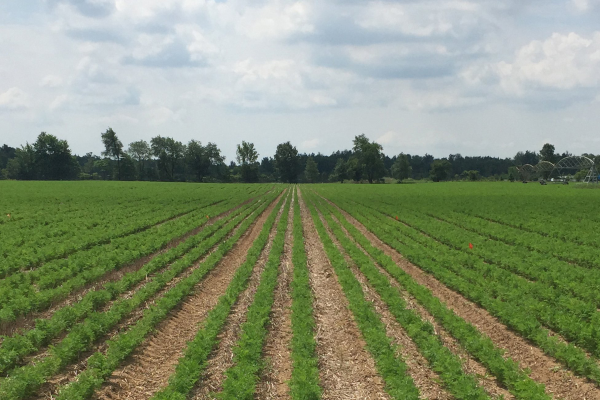 About - Fertilizer Recommendation Program