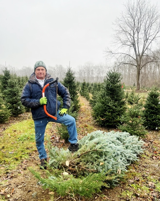 Make it a real Michigan Christmas - Christmas Trees