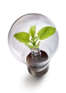 Research - Department of Biosystems & Agricultural Engineering