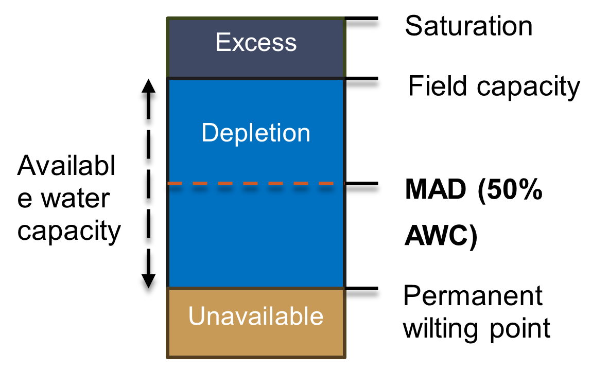 Utilizing Soil Moisture Sensors for Efficient Irrigation Management ...