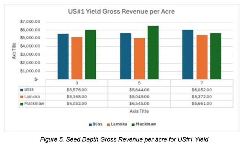 Economics of Potato Seed Spacing and Planting Depth in Potato ...