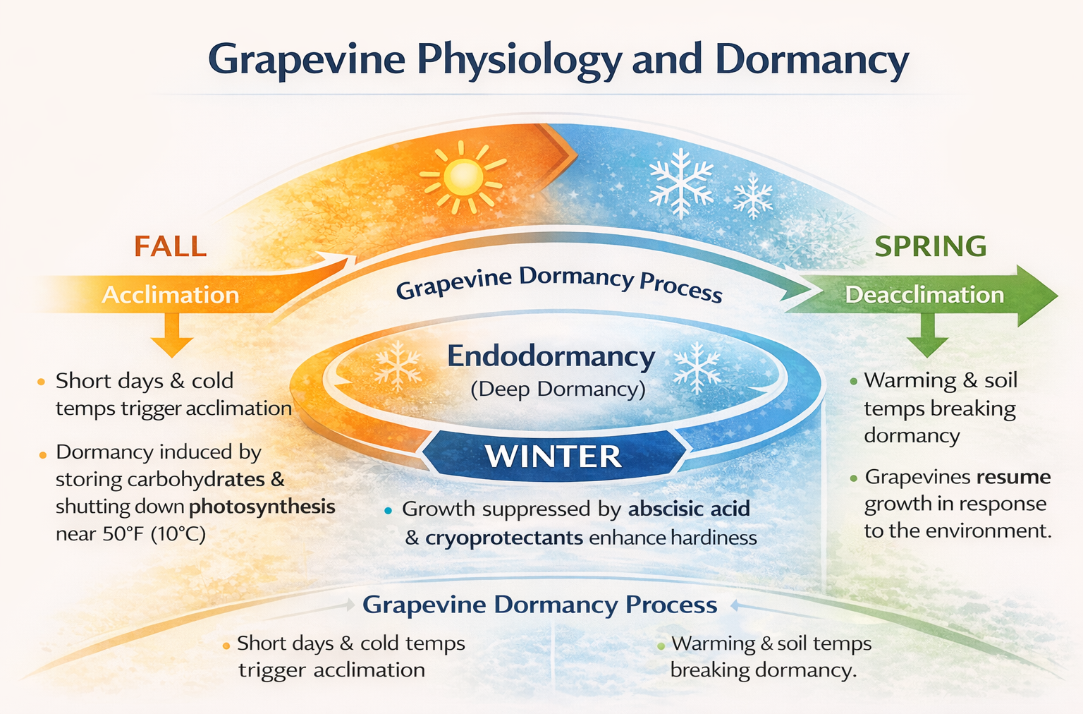 Extreme cold event advisory: Field observations and bud hardiness ...
