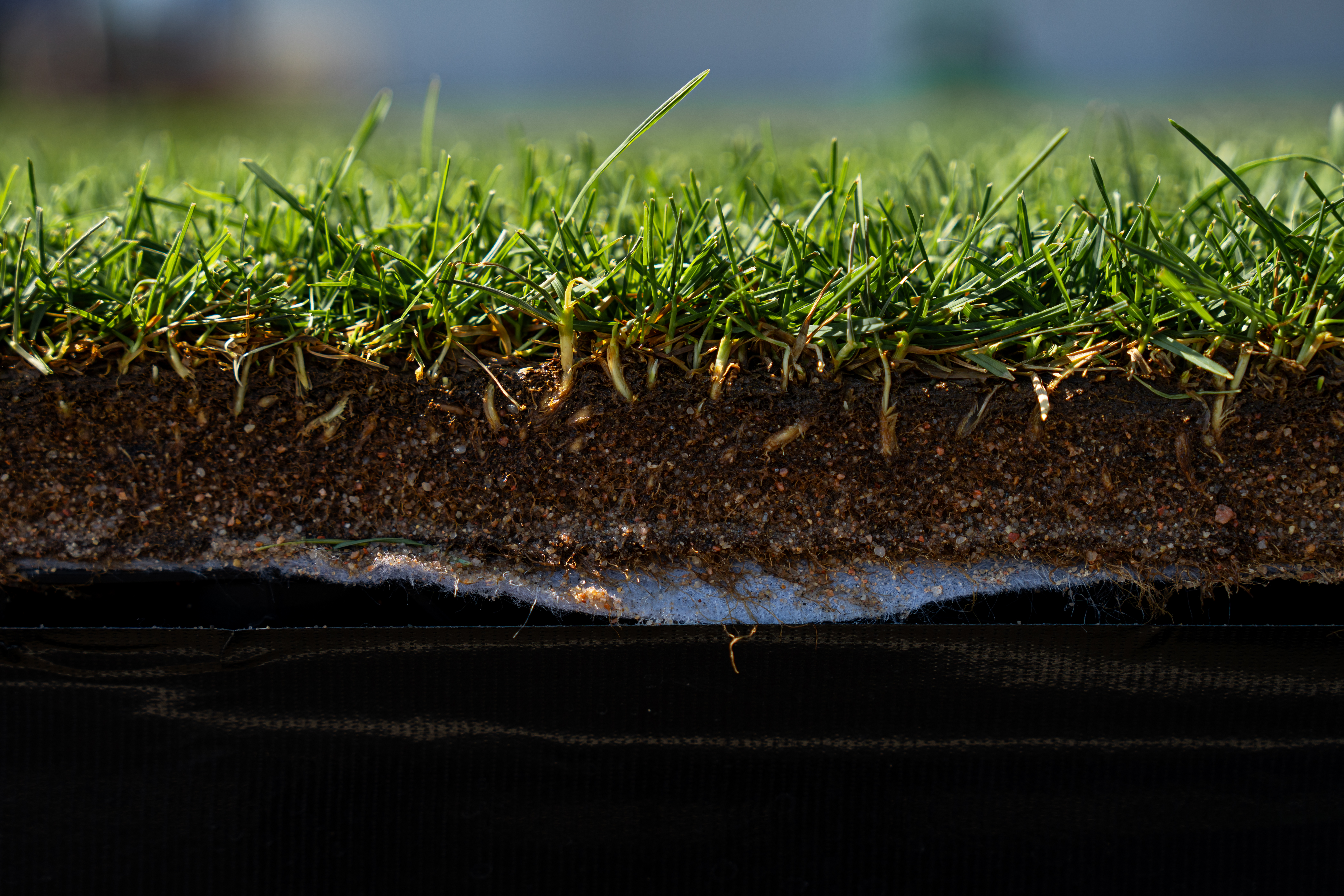 MSU showcases turfgrass tech ahead of the FIFA World Cup 26 - Turfgrass