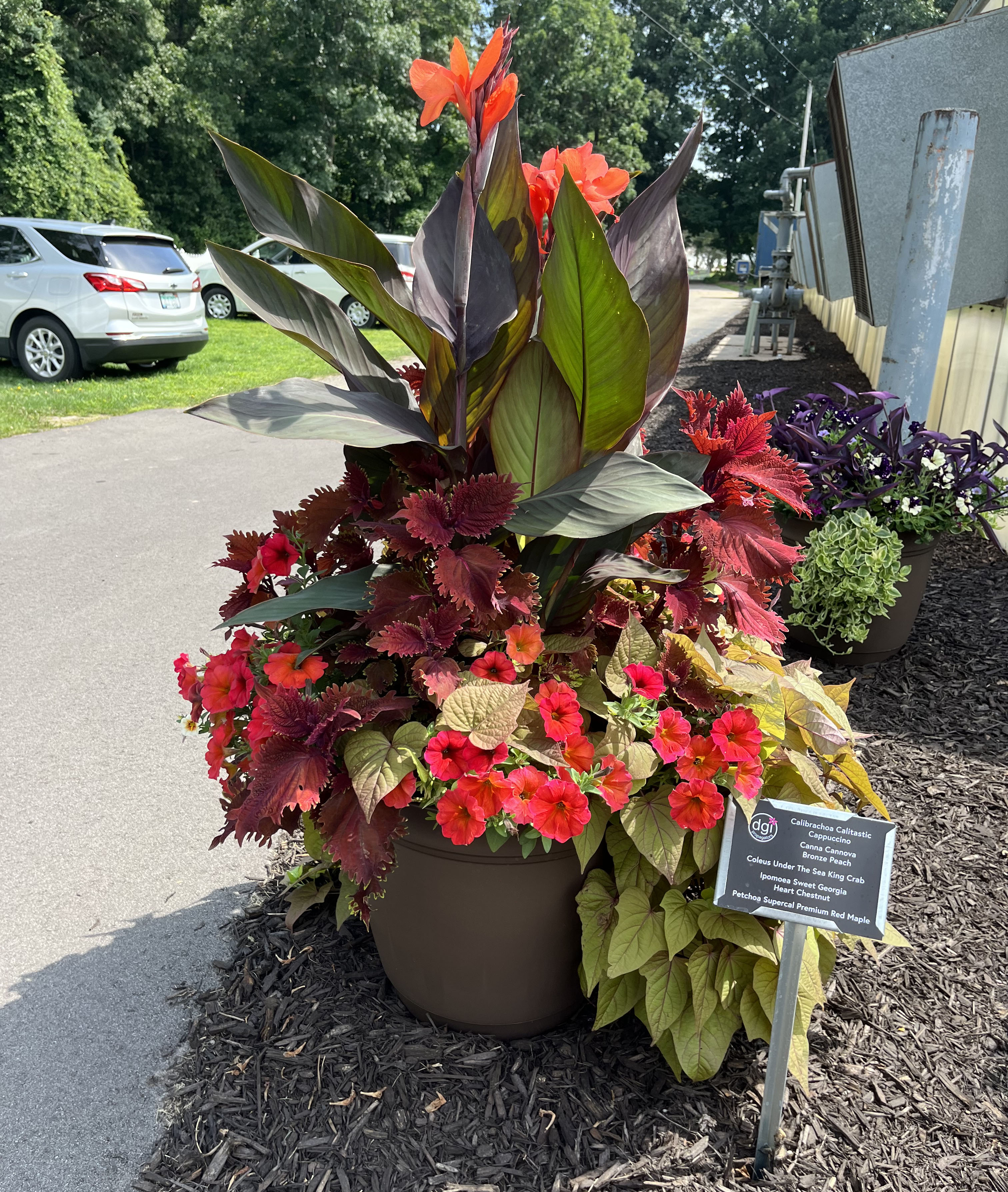 Creating captivating containers - Floriculture & Greenhouse Crop Production