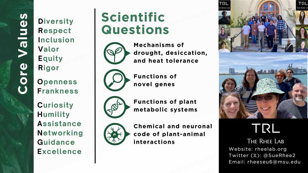 Plant resilience at the biochemical, cellular, and organismal levels ...