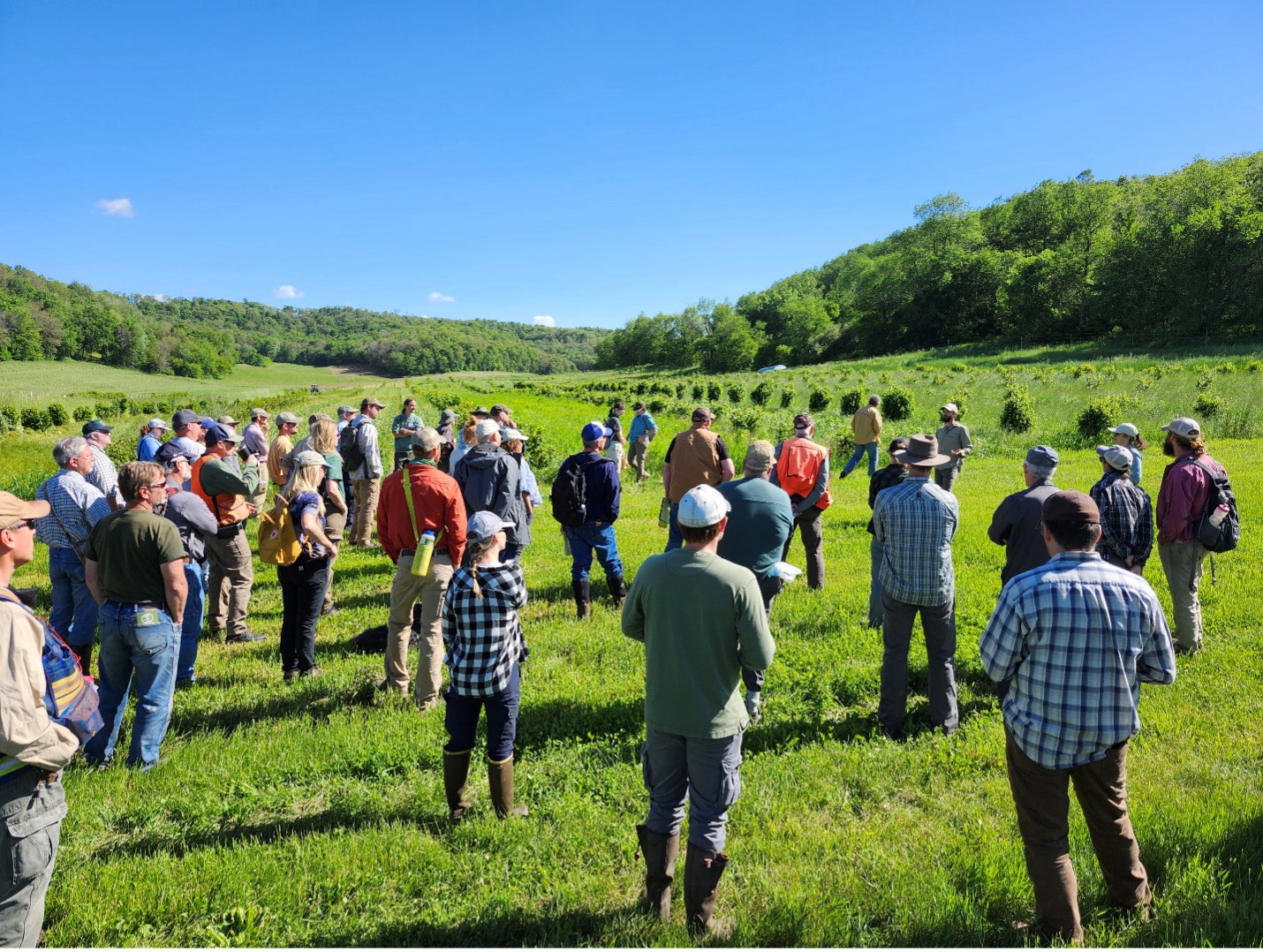 Project Updates - Agroforestry