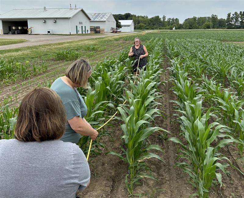 MSU faculty turn the farm into a classroom - Department of Plant, Soil ...