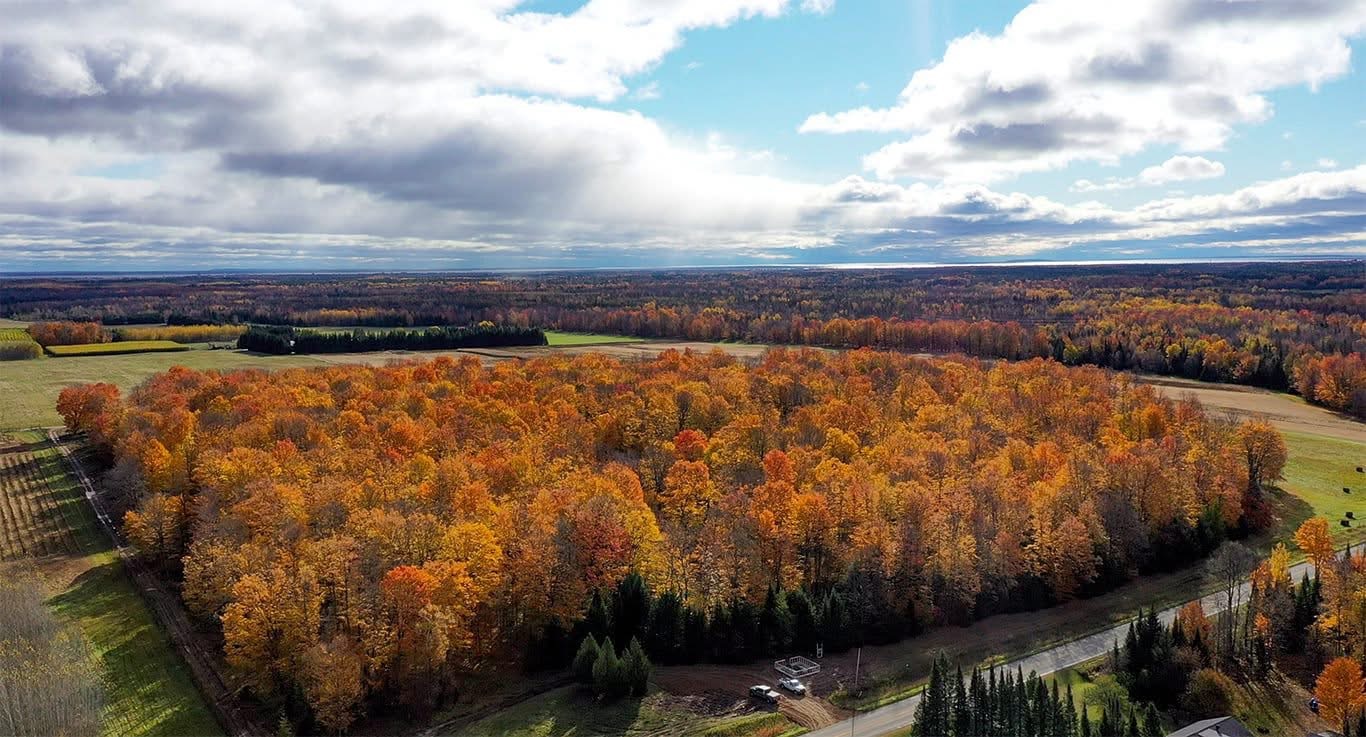 MSU Forestry Innovation Center explores maple sap through a One Health ...