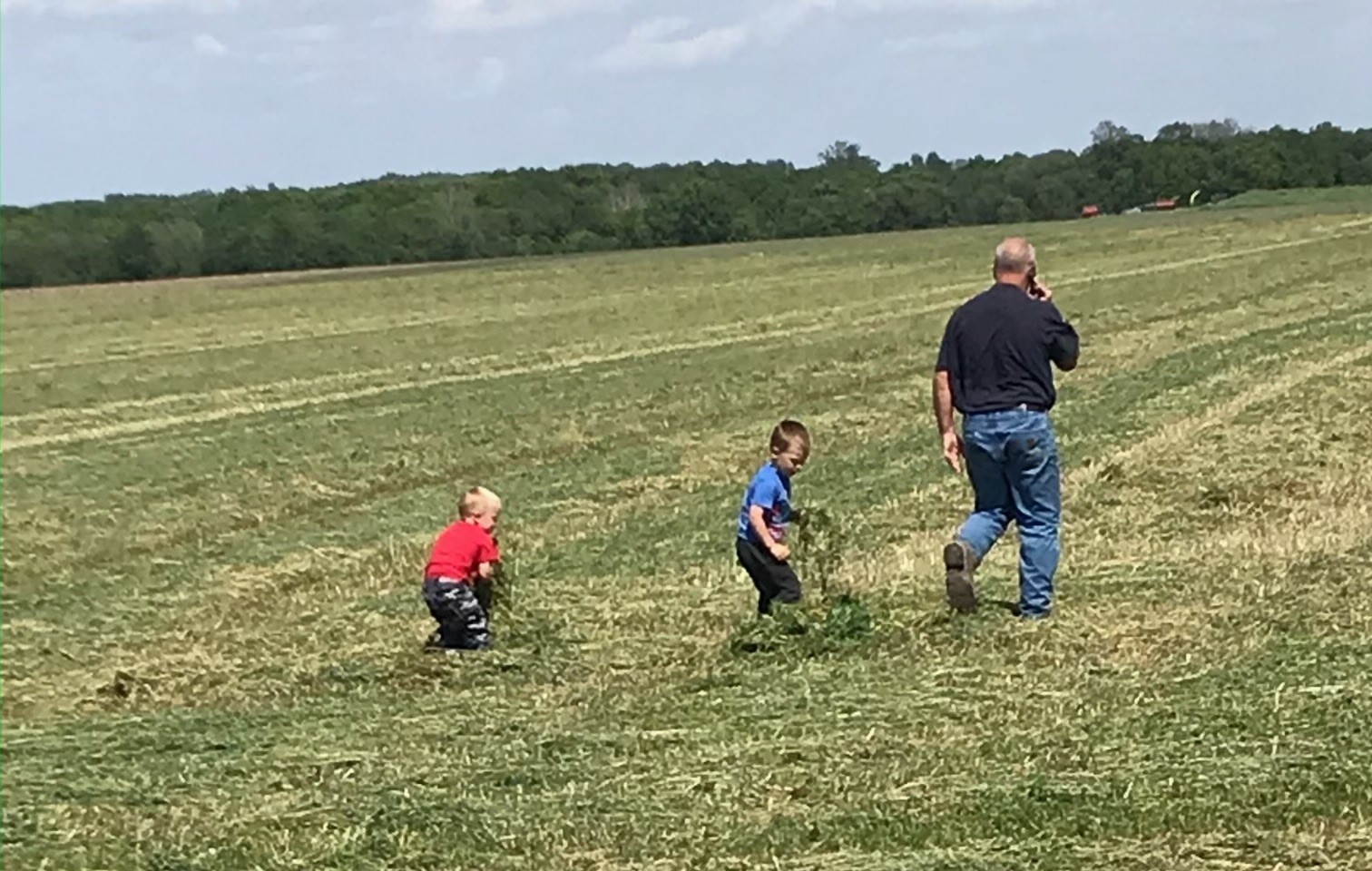 MSU honors Dutch Meadows Dairy as 2025 Dairy Farm of the Year ...
