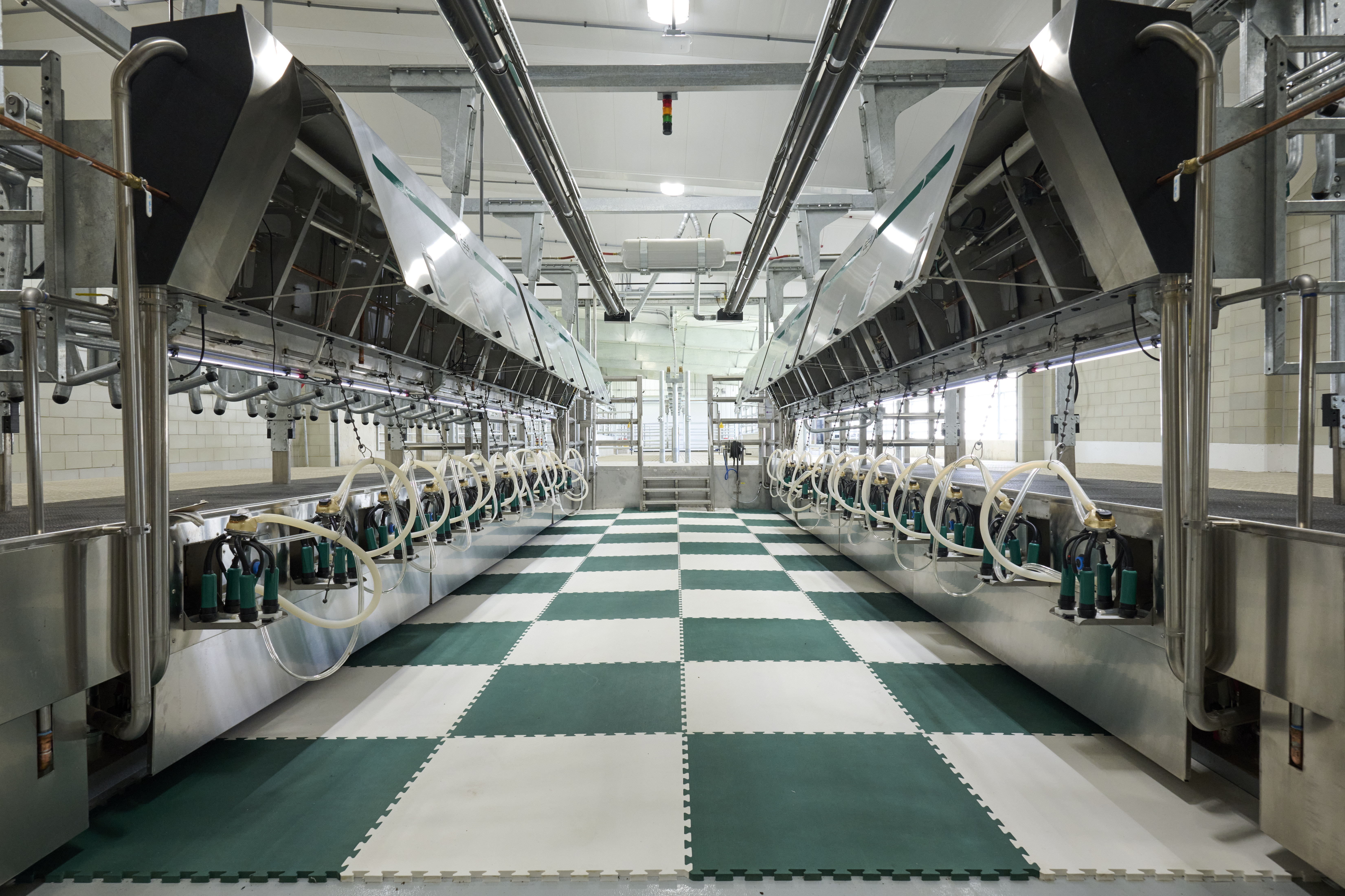 SPARTAN DAIRY INFRASTRUCTURE
