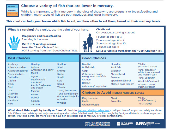 Springtime means smelt! But how do we know it’s safe to eat? - Michigan ...
