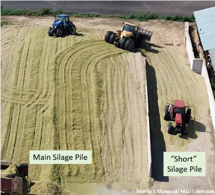 I need Silage. Is it ready yet? - Dairy