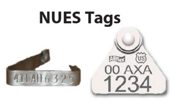 Obtaining official identification tags for swine in 2026 - 4-H Swine ...