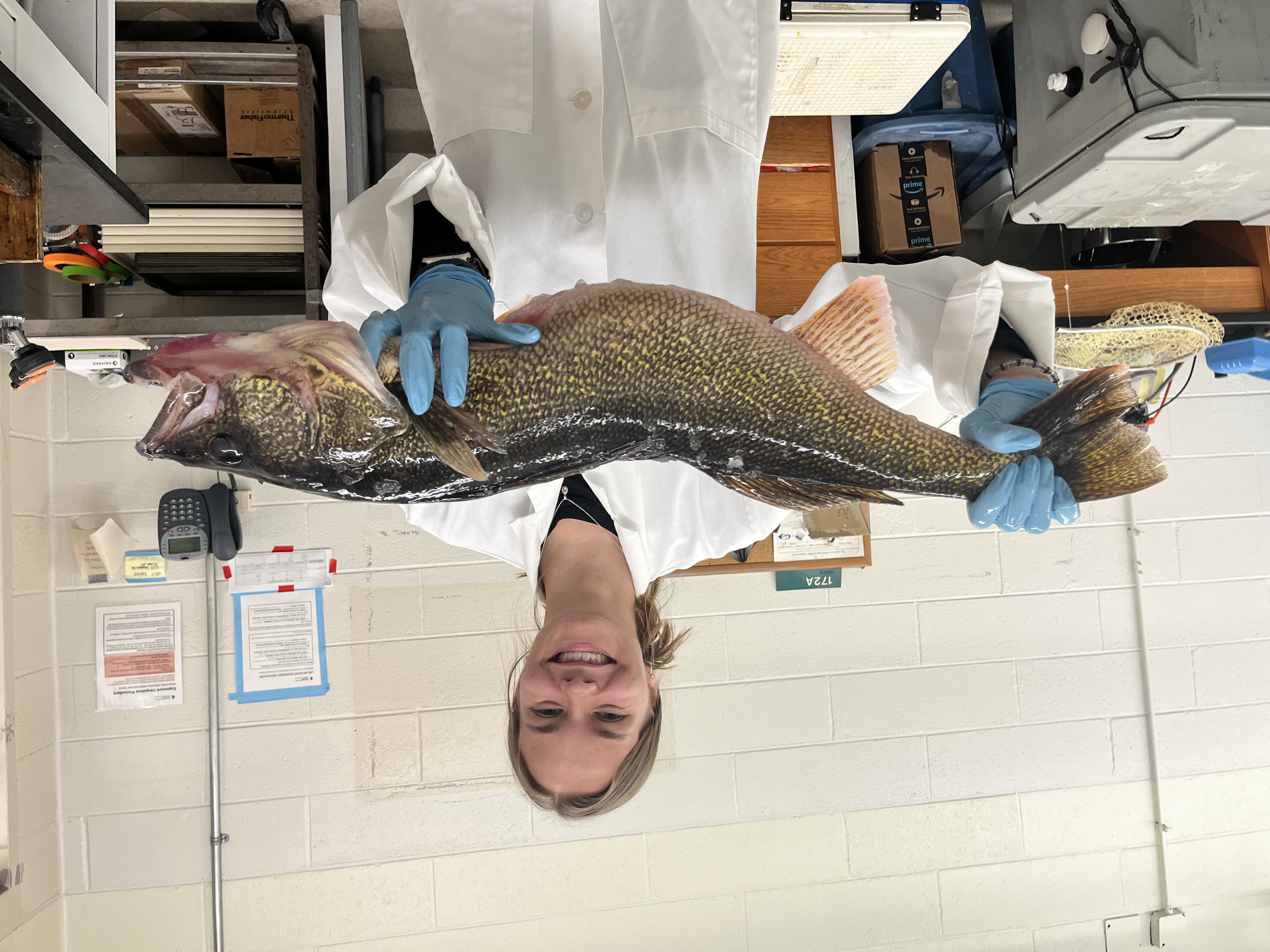 Glassen Undergraduate Experience - Department of Fisheries and Wildlife