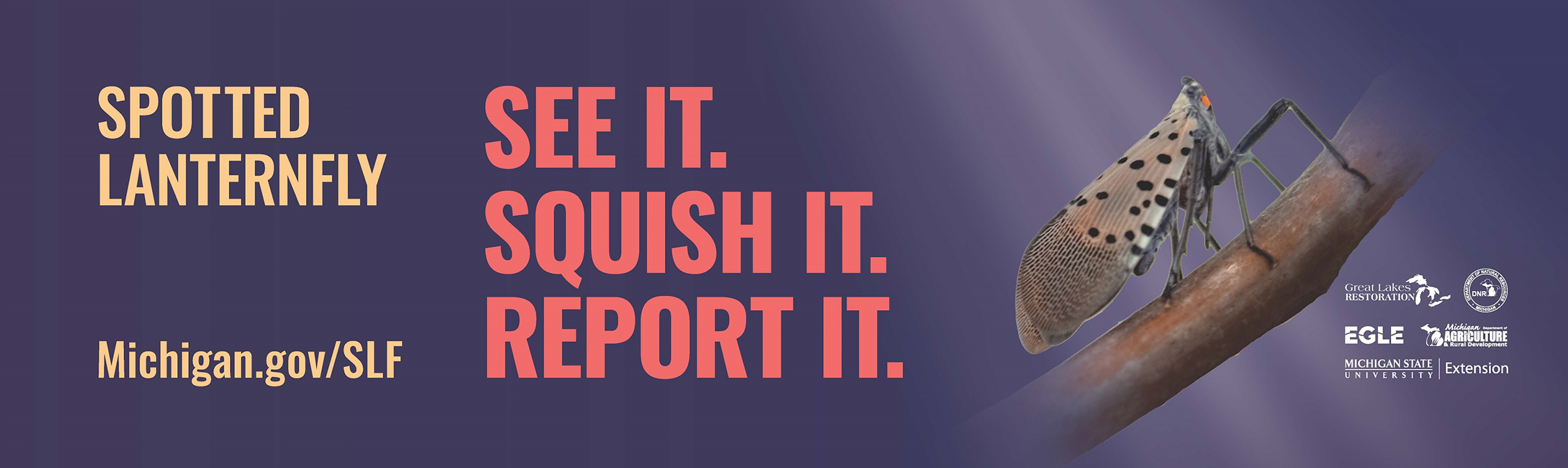 Spotted Lanternfly – A Guide for Homeowners and Residents in Michigan ...