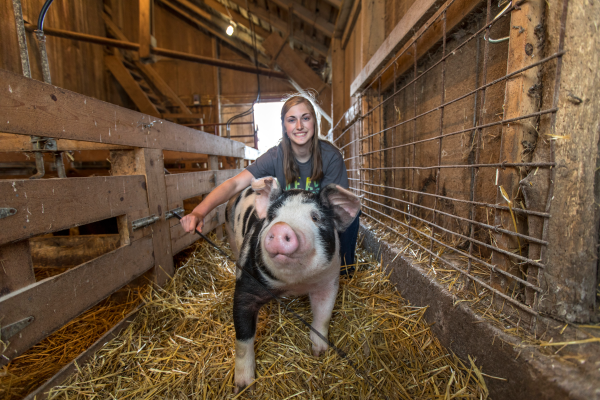 Science Activities & Lesson Plans - 4-H Animal Science