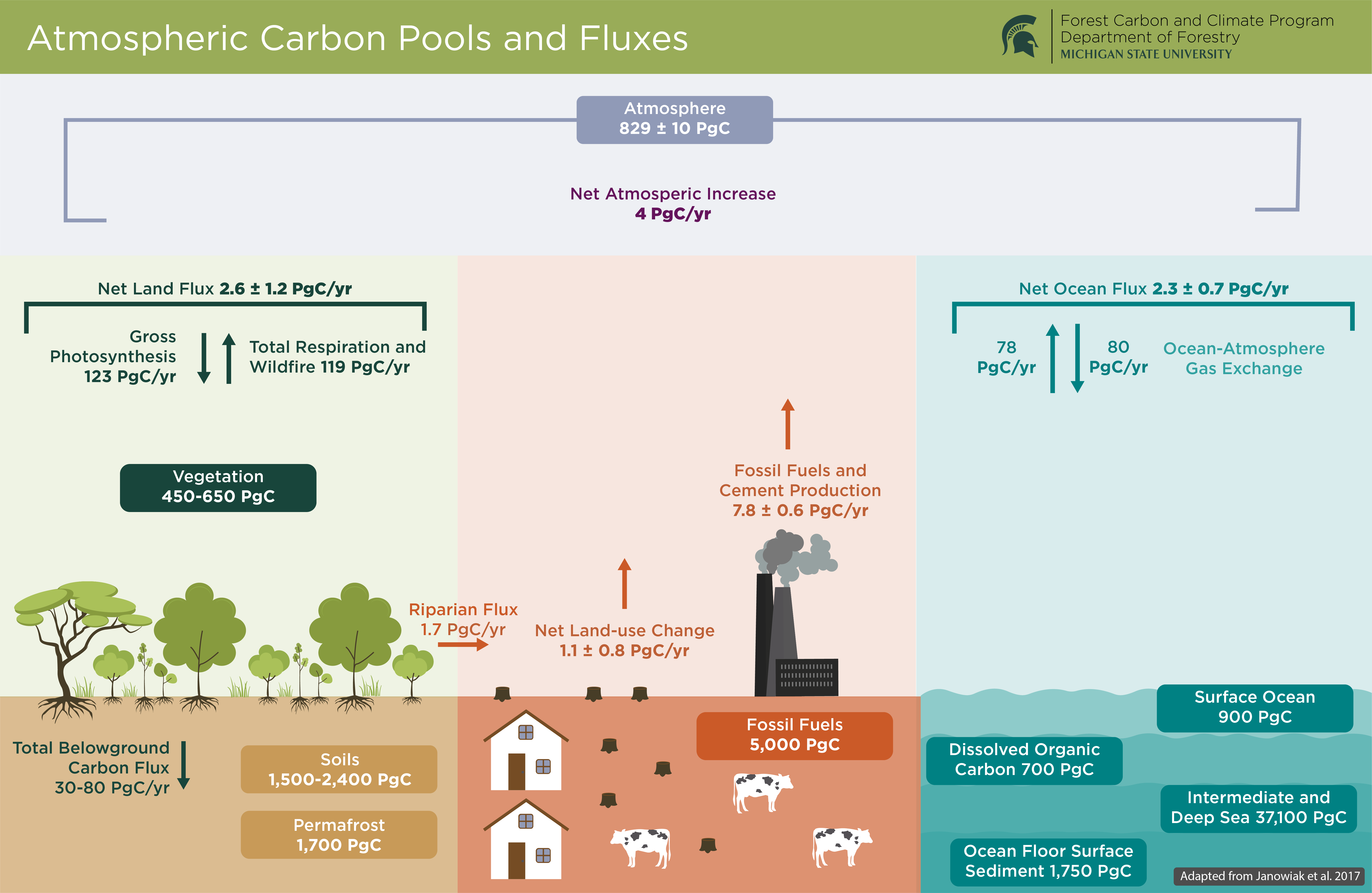 Ecological Diagrams - Forest Carbon and Climate Program